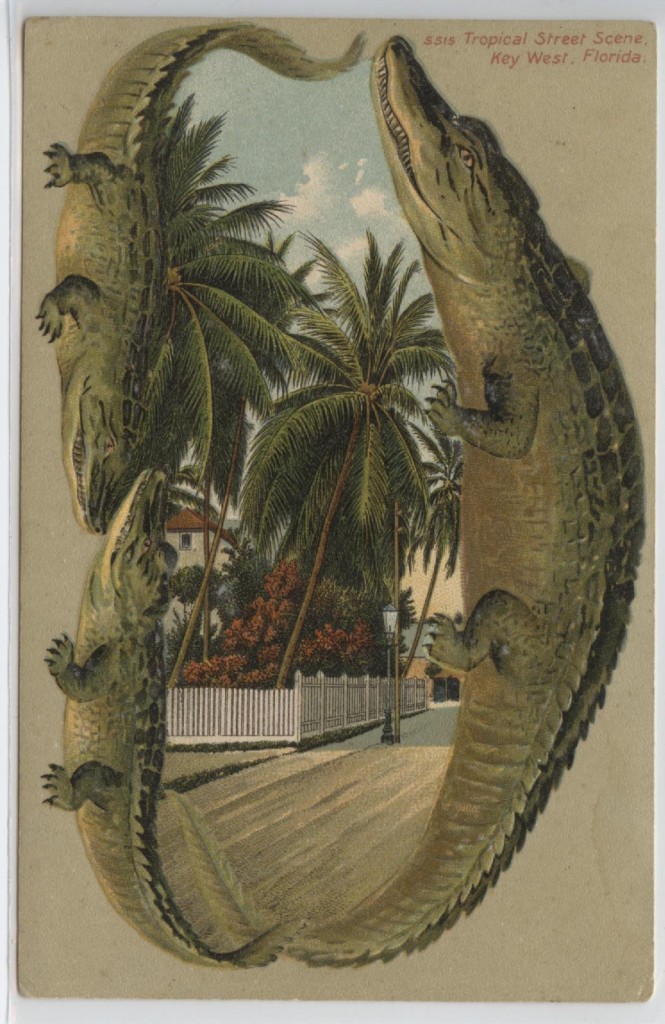 Florida Alligator Border Postcards | Hometown Currency