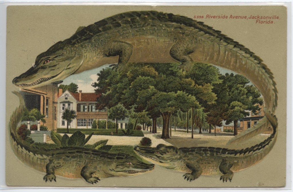 Florida Alligator Border Postcards | Hometown Currency