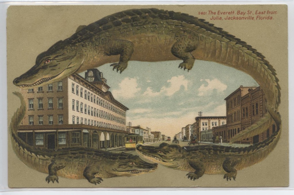 Florida Alligator Border Postcards | Hometown Currency